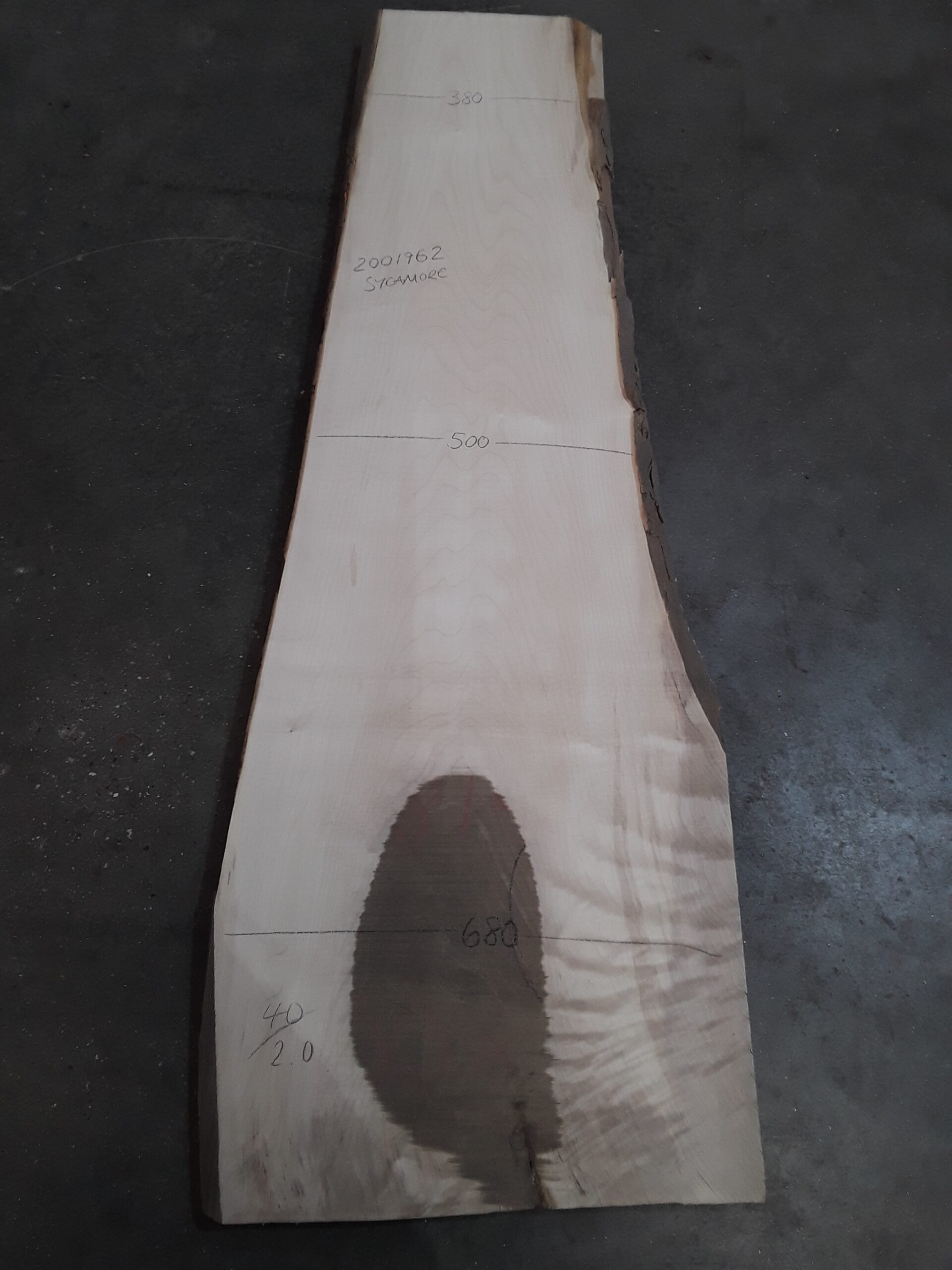 Sycamore – 40 mm x 500 mm x 2 m – The Timber Rack