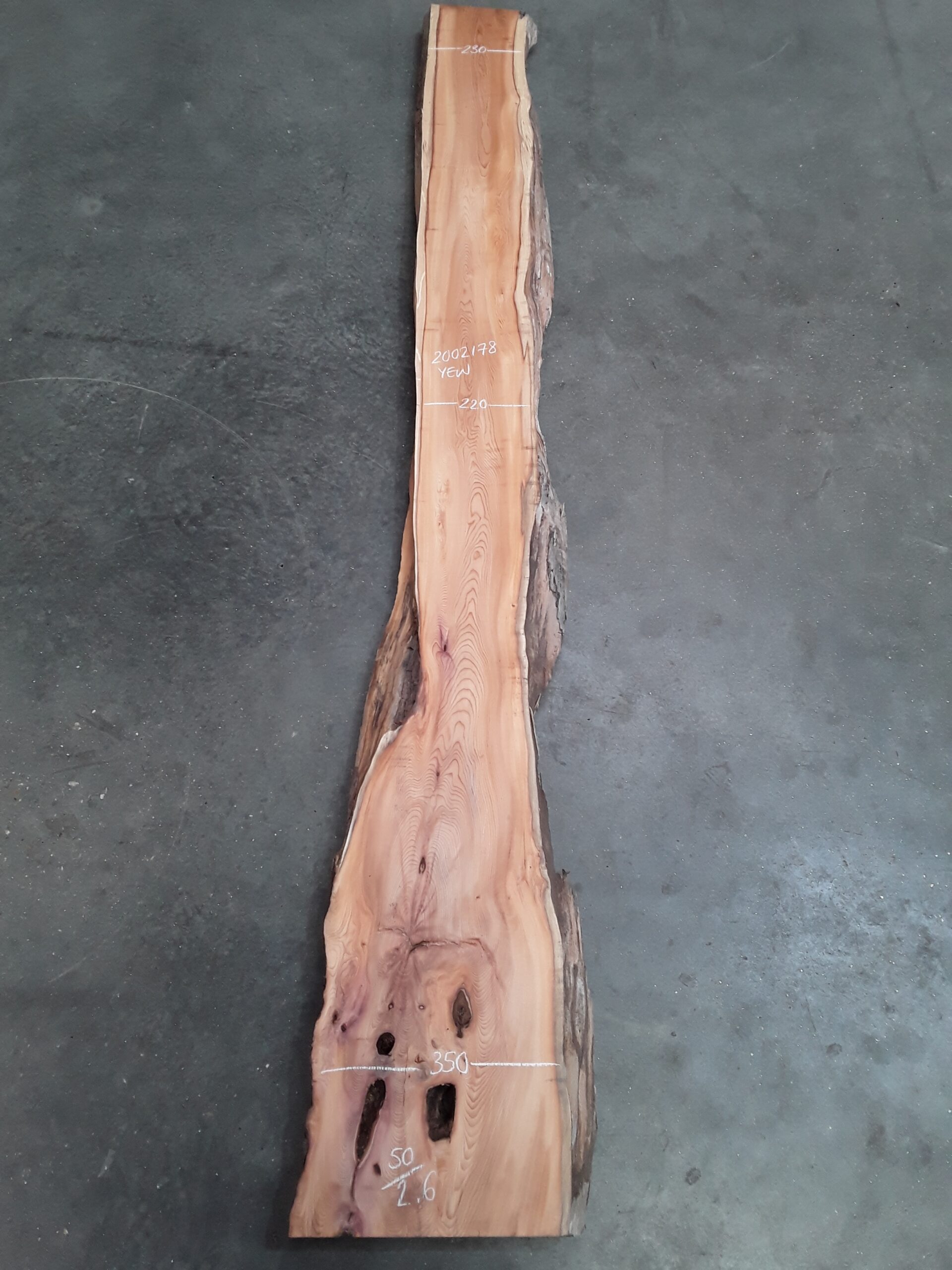 Yew – 50 mm x 260 mm x 2.6 m – The Timber Rack