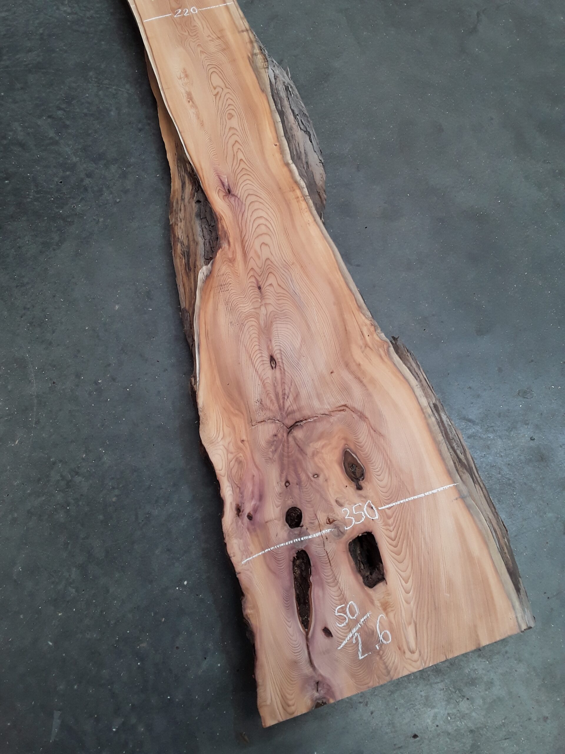 Yew – 50 mm x 260 mm x 2.6 m – The Timber Rack